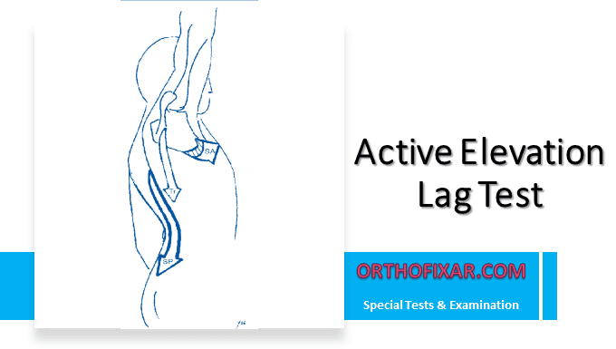 Coordination Tests | OrthoFixar 2025