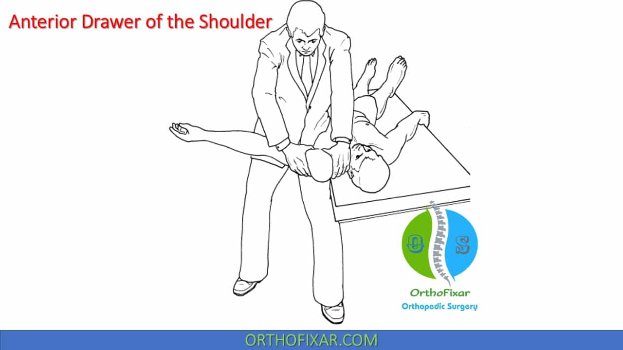 Shoulder Anterior Drawer Test 2026