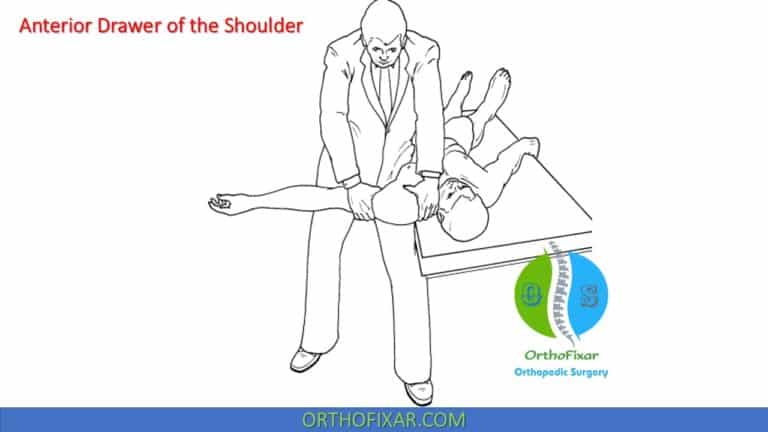 Shoulder Anterior Drawer Test 2025