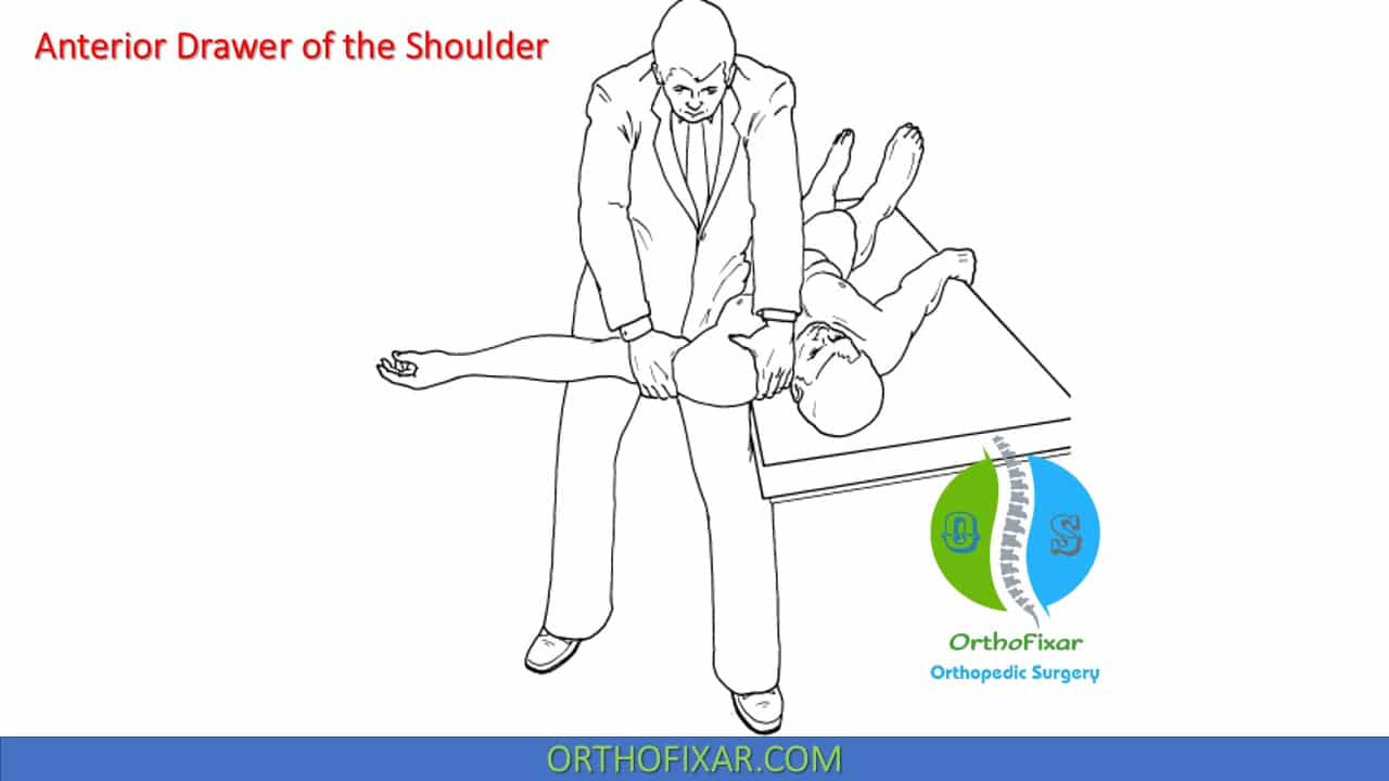 Shoulder Anterior Drawer Test 2025