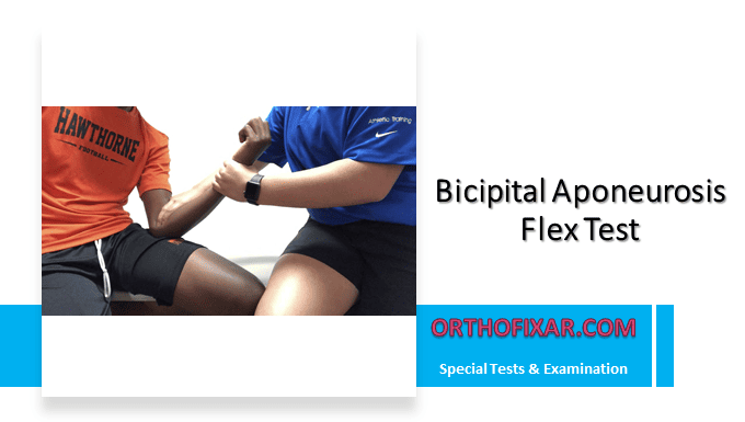 Bicipital Aponeurosis Flex Test Explained Easily | OrthoFixar