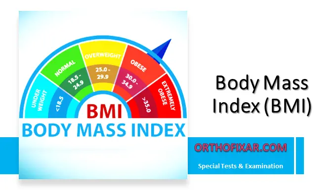 Body Mass Index (BMI) Explained Easily | OrthoFixar