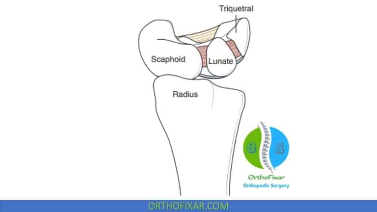 Lunotriquetral Ballottement Test • Easy Explained | OrthoFixar