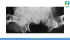 Wrist Radiology Imaging