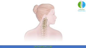 Cervical Spine Range Of Motion Explained Easily | OrthoFixar