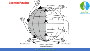 Normal Shoulder Range Of Motion | OrthoFixar 2025