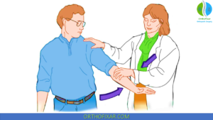 Deltoid Muscle Anatomy & Function | Orthopedic Learning