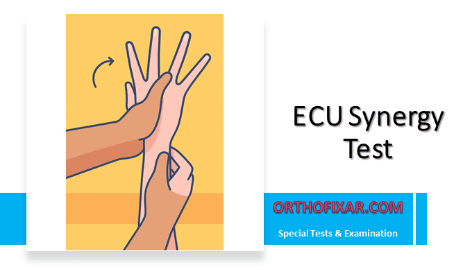 Knee Effusion Tests Explained Easily | OrthoFixar