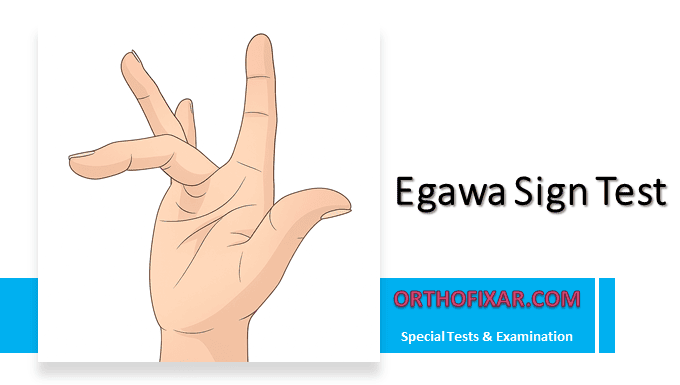 External Rotation Lag Sign Explained Easily | OrthoFixar