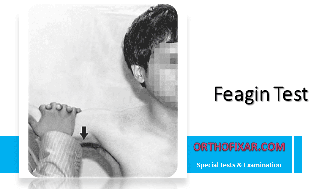 Galeazzi Test For Leg-Length Discrepancy | OrthoFixar 2024