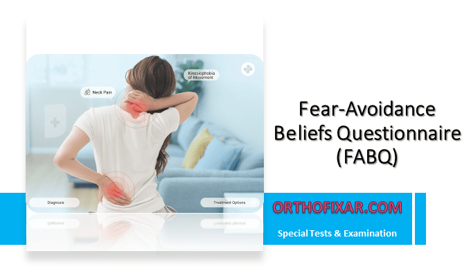 Special Test Category: Orthopedic Scores | OrthoFixar