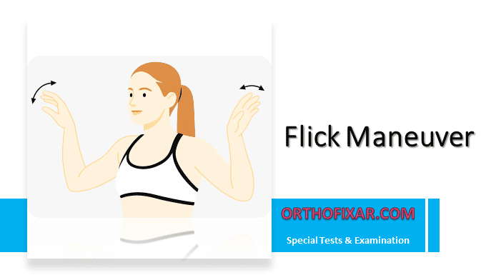 Allen Test Steps Explained Easily | OrthoFixar