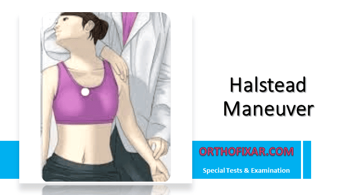 Halstead Maneuver Explained Easily | OrthoFixar