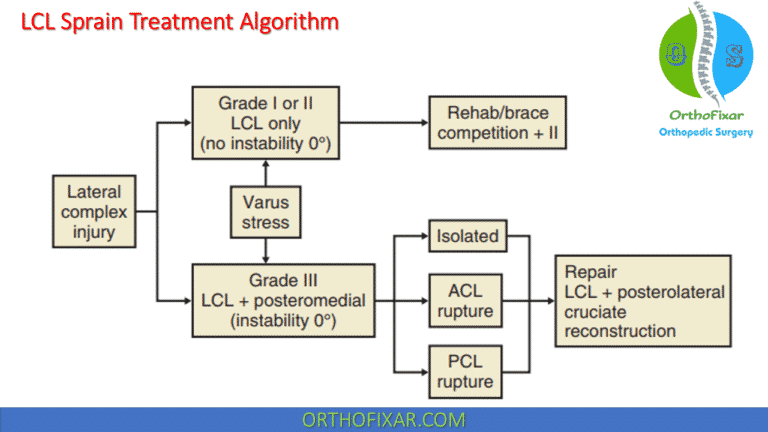Knee LCL Sprain | OrthoFixar