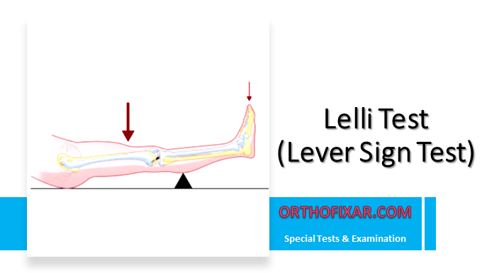 Balance Tests & Assessment | Dynamic & Static Explained Easily | OrthoFixar