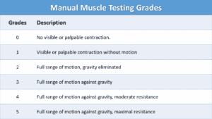 Manual Muscle Testing Grading (MMT Grades) | OrthoFixar 2025