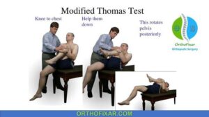 Thomas Test Definition, Technique & Reliability 2025