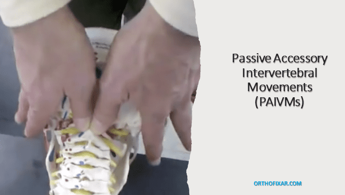 Passive Accessory Intervertebral Movements (PAIVMs) Explained Easily ...