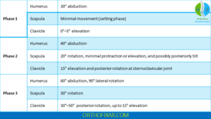 Scapulohumeral Rhythm Overview Explained Easily | OrthoFixar