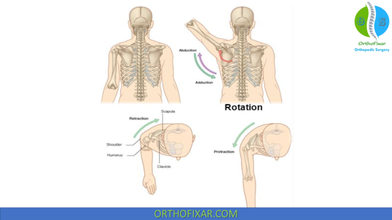 Shoulder Examination Easy Tutorial | OrthoFixar 2025