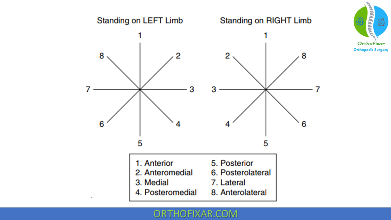 Star Excursion Balance Test Explained Easily | OrthoFixar