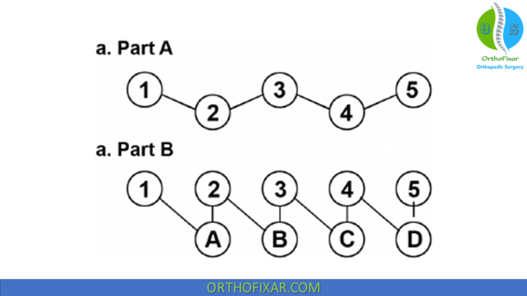 Trail Making Test Explained Easily | OrthoFixar