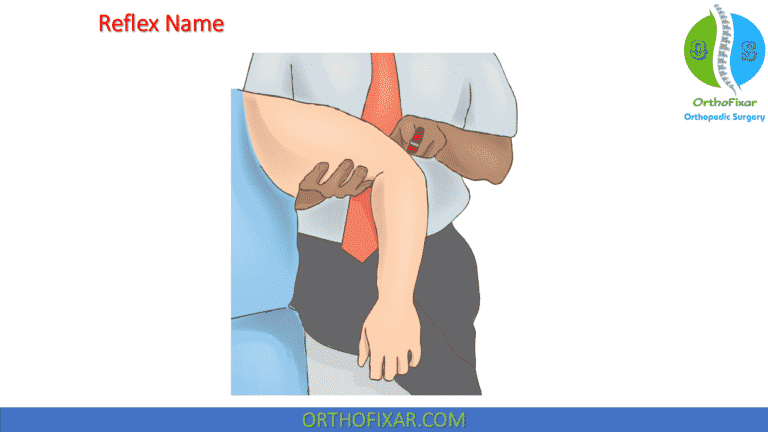 Triceps Reflex Test | OrthoFixar 2025