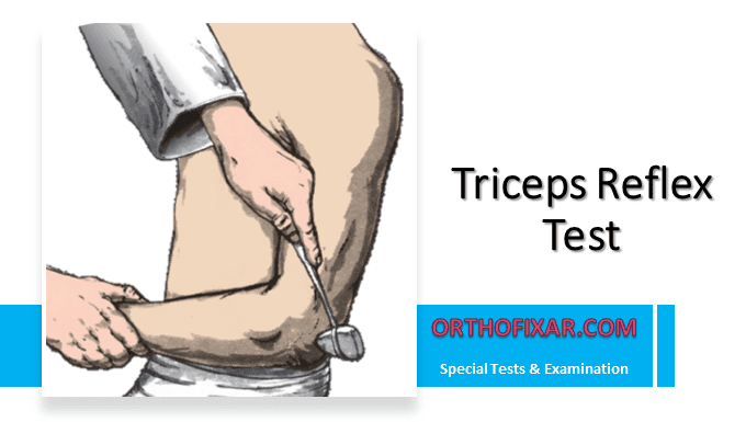 Triceps Reflex Test Explained Easily | OrthoFixar