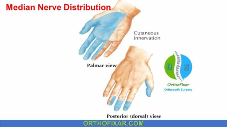 Durkan Test | OrthoFixar 2025