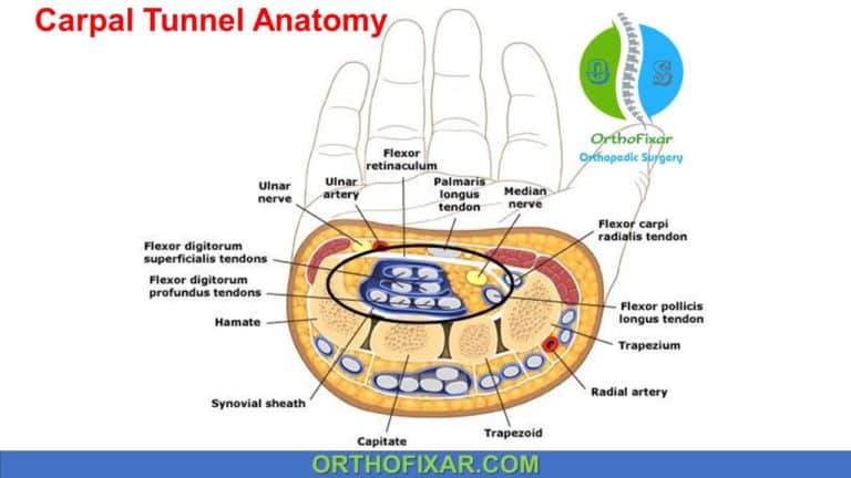 Durkan Test | OrthoFixar 2026