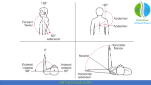 Normal Shoulder Range Of Motion | OrthoFixar 2025